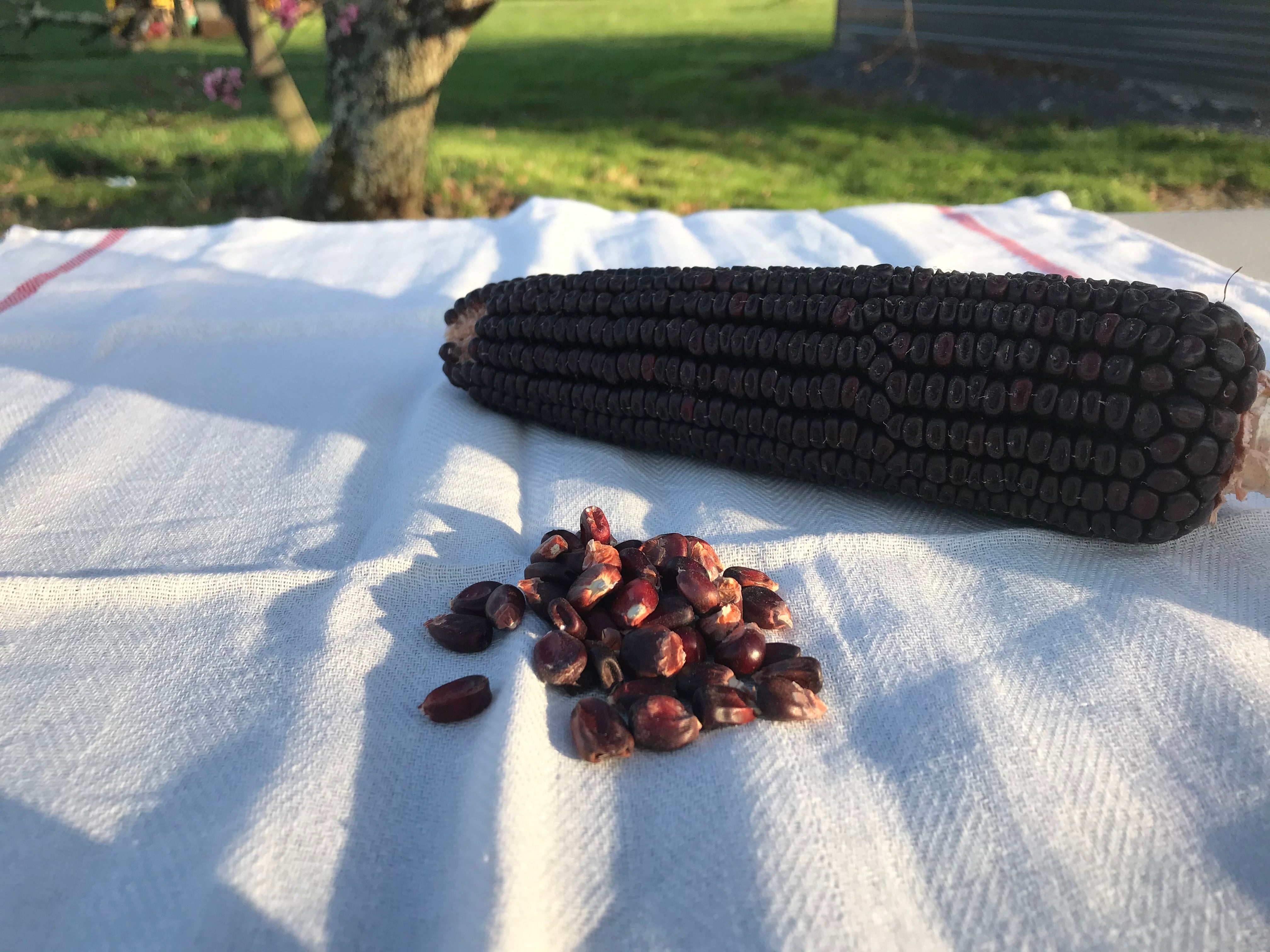 Cornmeal – Arbaugh Farm